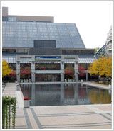 North York Dental Clinic 5100 Yonge – Find Local Dentist Near Your Area